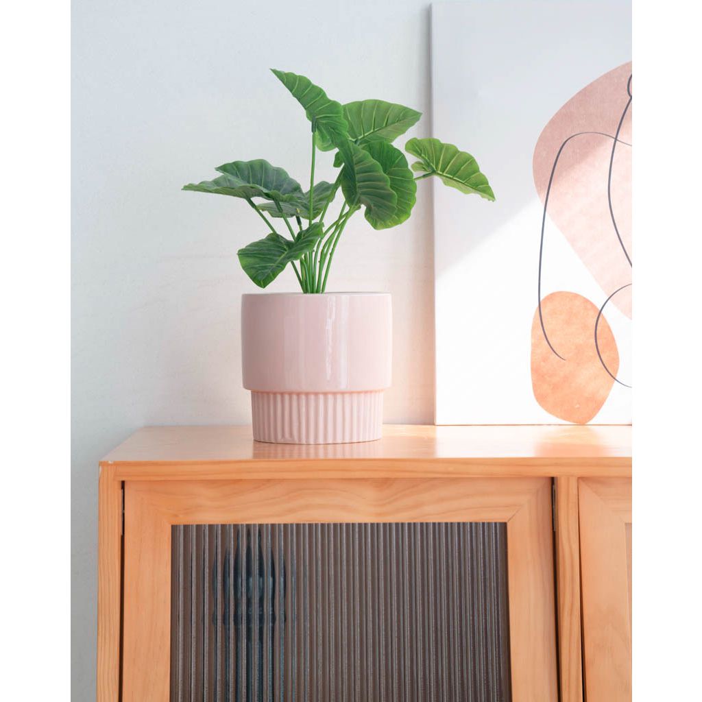 אגרטל קרמיקה - URBANICA